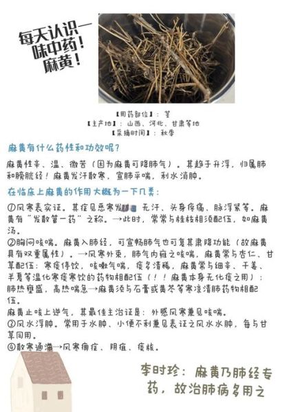 麻黄汤的功效与作用_麻黄汤适合哪些症状-第3张图片-山城妙识 麻黄汤的功效与作用_麻黄汤适合哪些症状-第3张图片-山城妙识