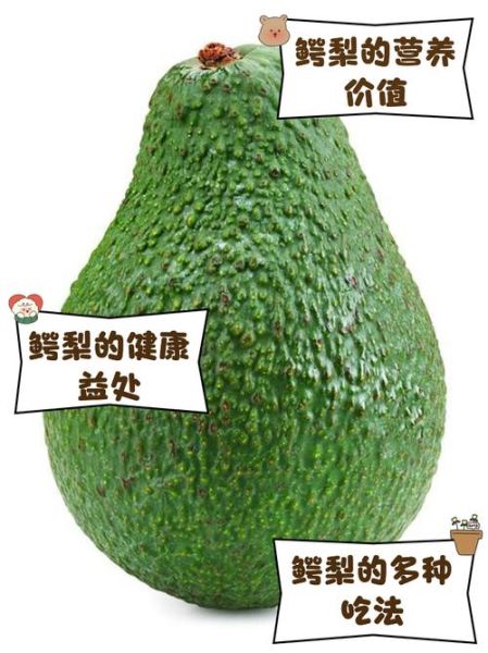 鳄梨怎么挑选_鳄梨图片大全-第1张图片-山城妙识 鳄梨怎么挑选_鳄梨图片大全-第1张图片-山城妙识