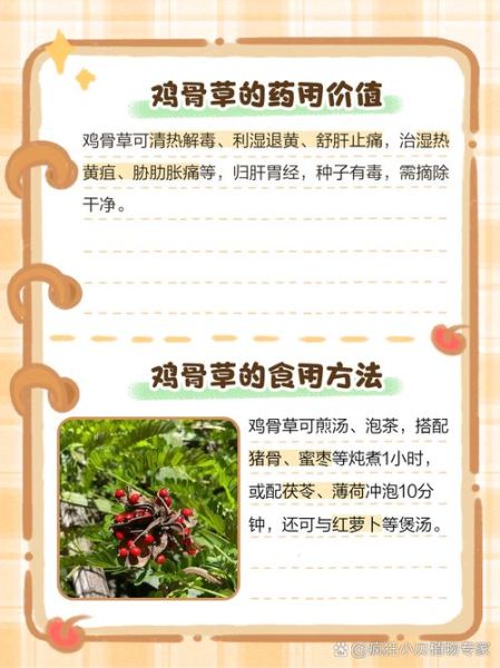 鸡骨草胶囊多少钱一盒_鸡骨草胶囊价格哪里买便宜-第3张图片-山城妙识 鸡骨草胶囊多少钱一盒_鸡骨草胶囊价格哪里买便宜-第3张图片-山城妙识