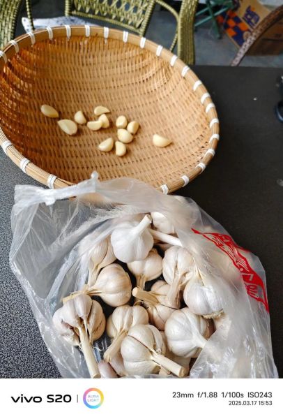 糍粑海椒怎么做_家常糍粑海椒做法-第1张图片-山城妙识 糍粑海椒怎么做_家常糍粑海椒做法-第1张图片-山城妙识