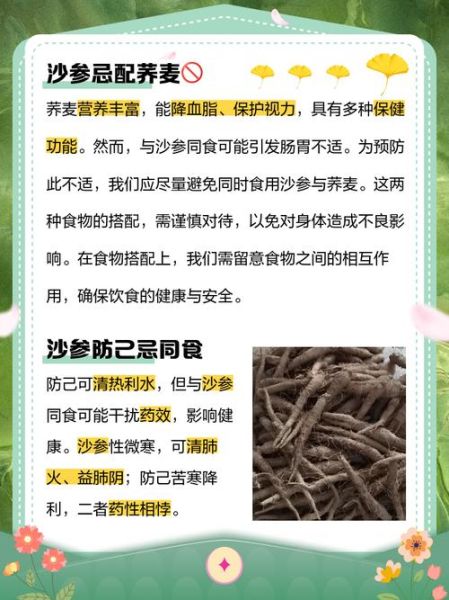沙参哪些人不能吃_三种人坚决不能吃沙参-第3张图片-山城妙识