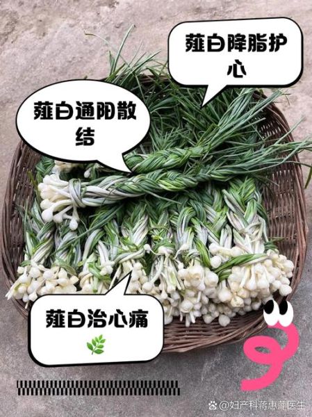 薤白的功效与作用_薤白能治什么病-第3张图片-山城妙识