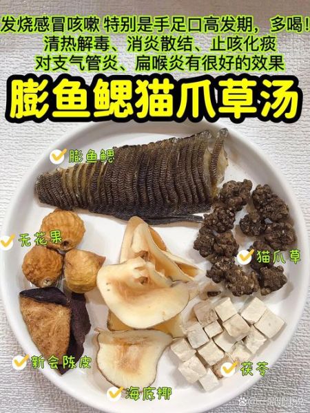 膨鱼鳃的功效与作用_膨鱼腮怎么煲汤最润肺-第3张图片-山城妙识