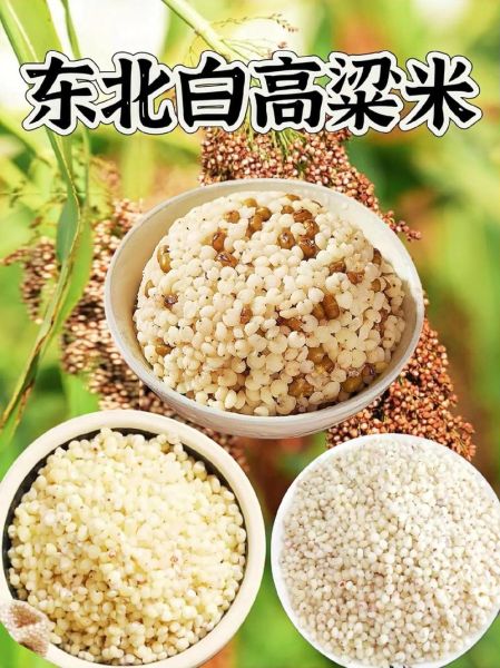 高粱米减肥能吃吗_高粱米热量高不高-第1张图片-山城妙识