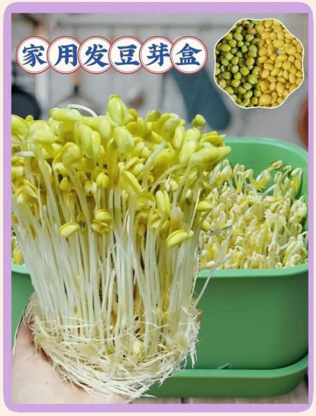 豆芽软件怎么用_豆芽软件收费吗-第1张图片-山城妙识 豆芽软件怎么用_豆芽软件收费吗-第1张图片-山城妙识