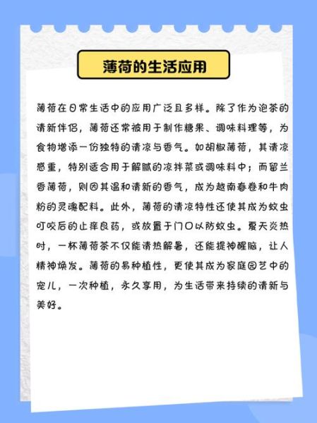 薄荷的种类有几种_常见薄荷品种区别-第2张图片-山城妙识 薄荷的种类有几种_常见薄荷品种区别-第2张图片-山城妙识