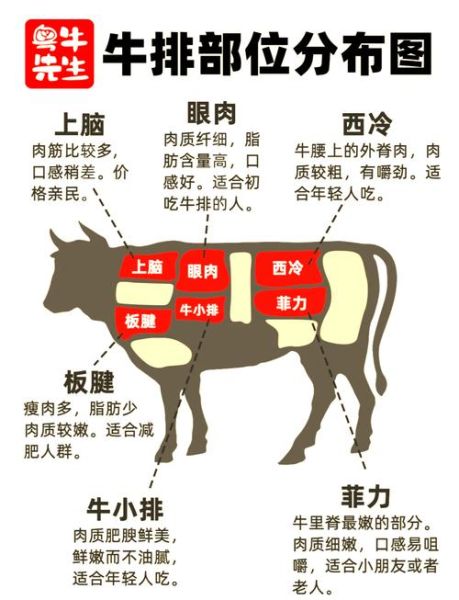 菲力牛排和西冷牛排哪个贵_价格差异原因-第1张图片-山城妙识 菲力牛排和西冷牛排哪个贵_价格差异原因-第1张图片-山城妙识