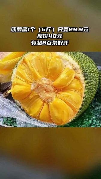 菠萝蜜国际通道入口1_如何安全访问-第2张图片-山城妙识