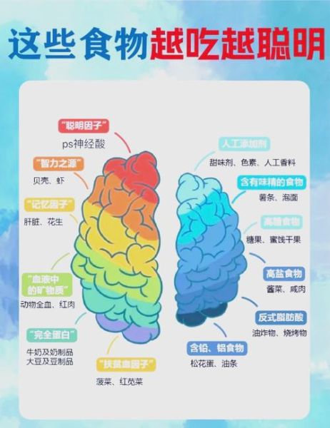 补脑吃什么食物最好_哪些食物提高记忆力-第1张图片-山城妙识 补脑吃什么食物最好_哪些食物提高记忆力-第1张图片-山城妙识