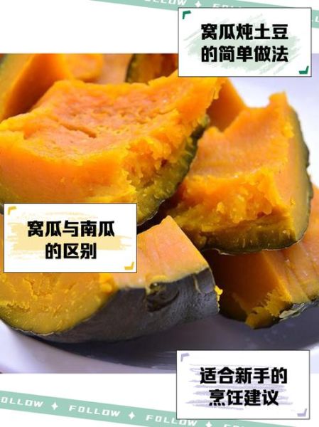 窝瓜是南瓜吗_窝瓜和南瓜的区别-第3张图片-山城妙识