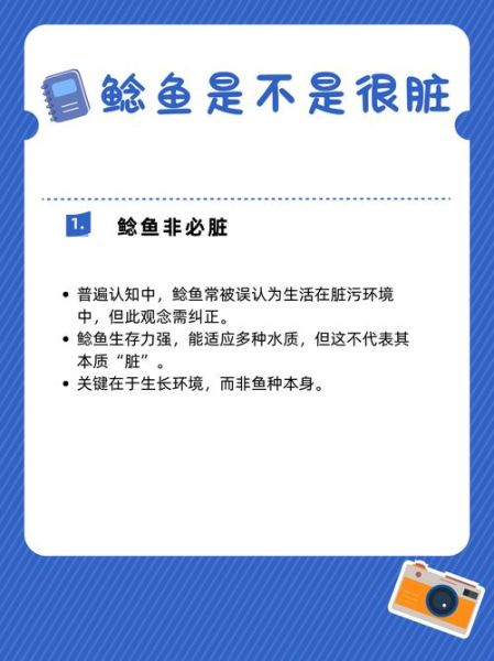鲶鱼很脏吗_鲶鱼到底脏不脏-第1张图片-山城妙识 鲶鱼很脏吗_鲶鱼到底脏不脏-第1张图片-山城妙识