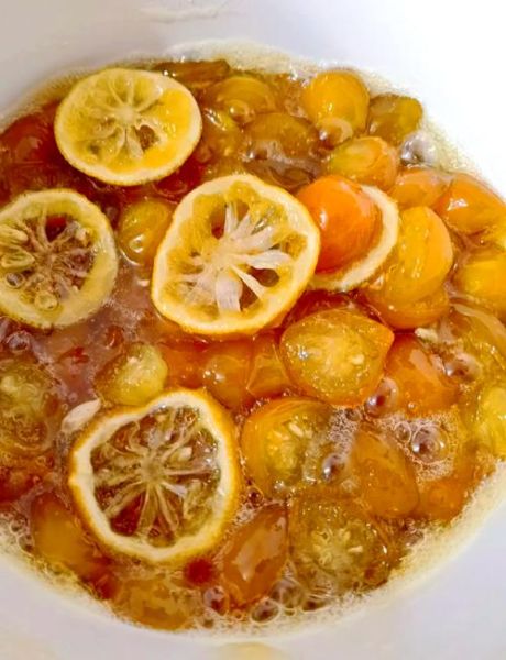 金桔膏的正确做法_金桔膏怎么熬不苦-第3张图片-山城妙识 金桔膏的正确做法_金桔膏怎么熬不苦-第3张图片-山城妙识