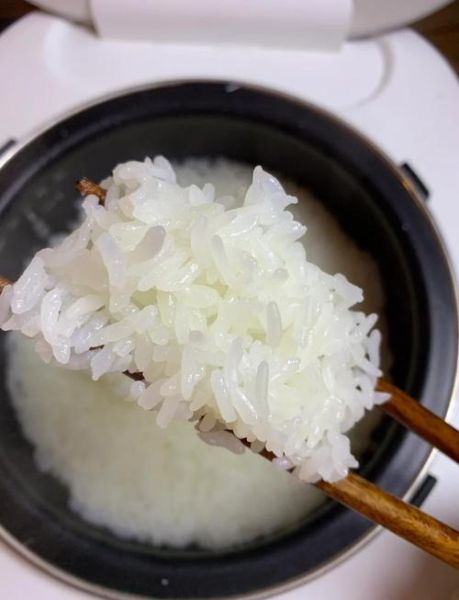 电饭锅做高粱米饭_高粱米饭水米比例是多少-第2张图片-山城妙识 电饭锅做高粱米饭_高粱米饭水米比例是多少-第2张图片-山城妙识