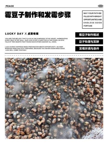 自制霉黄豆怎么做_霉黄豆发酵失败原因-第1张图片-山城妙识