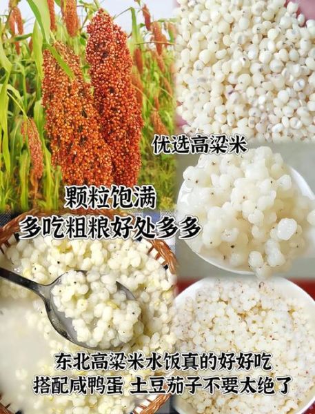 电饭锅做高粱米饭_高粱米饭水米比例是多少-第3张图片-山城妙识 电饭锅做高粱米饭_高粱米饭水米比例是多少-第3张图片-山城妙识