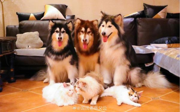 酒鬼一家怎么样_酒鬼一家值得买吗-第1张图片-山城妙识