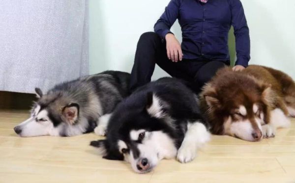 酒鬼一家怎么样_酒鬼一家值得买吗-第2张图片-山城妙识