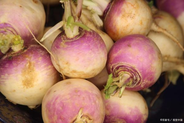 芜菁在中国叫什么_芜菁和萝卜的区别-第1张图片-山城妙识 芜菁在中国叫什么_芜菁和萝卜的区别-第1张图片-山城妙识