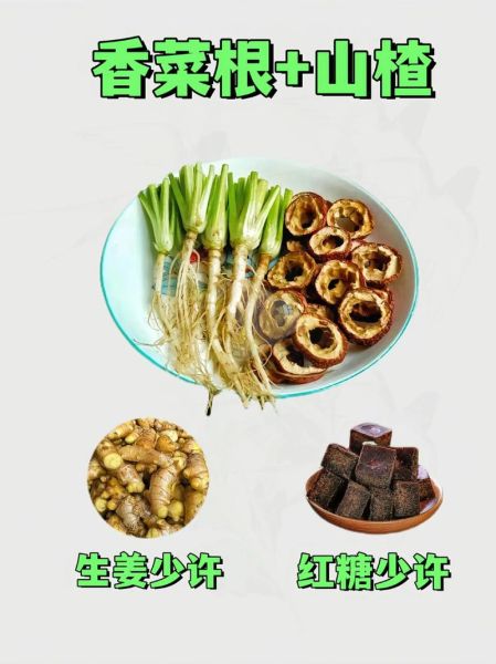 香菜根的功效与作用_香菜根的禁忌人群-第2张图片-山城妙识 香菜根的功效与作用_香菜根的禁忌人群-第2张图片-山城妙识