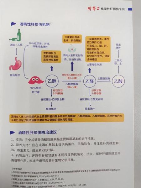 正常人几个小时醒酒_酒精多久能代谢完-第1张图片-山城妙识
