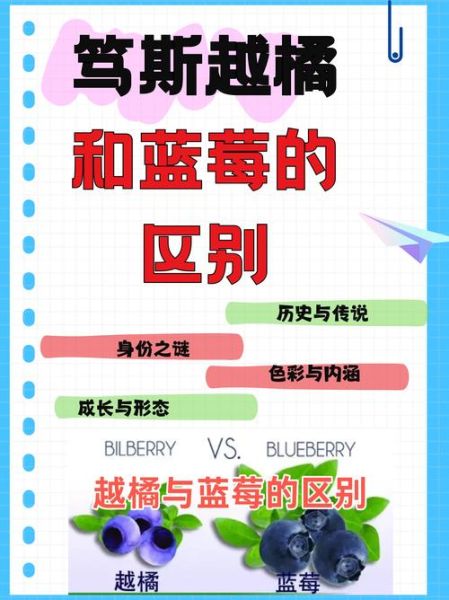 越橘和蓝莓的区别_越橘的功效与作用-第1张图片-山城妙识