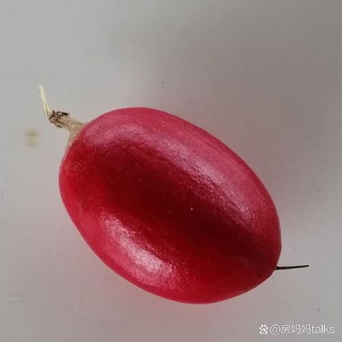 神秘果价格多少钱一斤_神秘果为什么这么贵-第1张图片-山城妙识