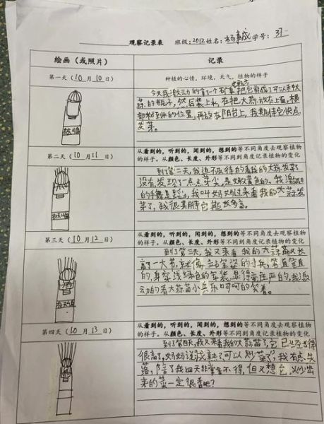 绿豆芽怎么发芽_绿豆芽观察日记怎么写-第1张图片-山城妙识 绿豆芽怎么发芽_绿豆芽观察日记怎么写-第1张图片-山城妙识