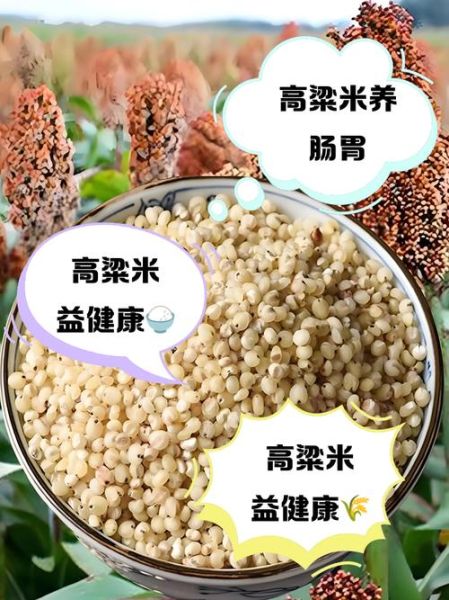 高粱米哪些人不能吃_高粱米禁忌人群-第2张图片-山城妙识 高粱米哪些人不能吃_高粱米禁忌人群-第2张图片-山城妙识