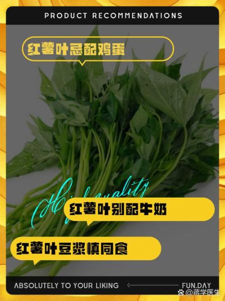 红薯叶与什么相克_红薯叶不能和什么一起吃-第1张图片-山城妙识 红薯叶与什么相克_红薯叶不能和什么一起吃-第1张图片-山城妙识