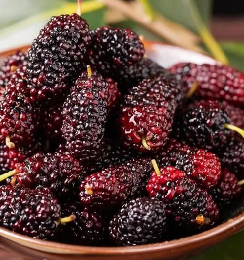 男人养肾最佳水果有哪些_男人吃什么水果补肾最快-第2张图片-山城妙识 男人养肾最佳水果有哪些_男人吃什么水果补肾最快-第2张图片-山城妙识