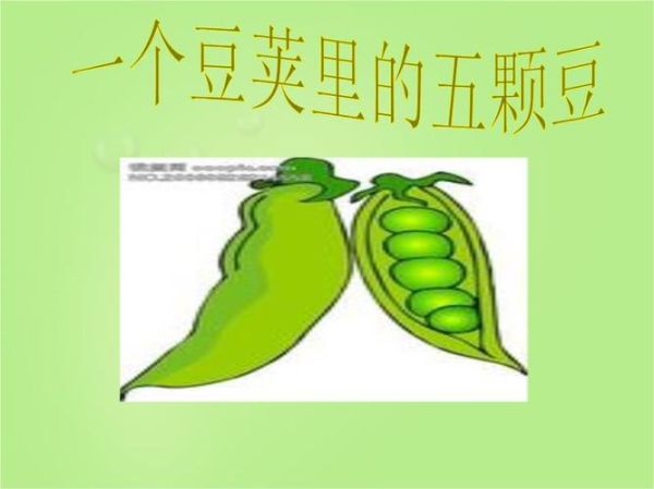 豆荚下载怎么使用_豆荚下载安全吗-第3张图片-山城妙识