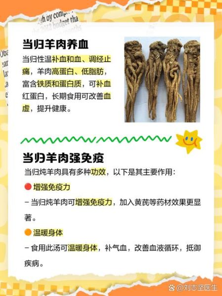 当归羊肉汤的功效与作用_适合哪些人喝-第3张图片-山城妙识