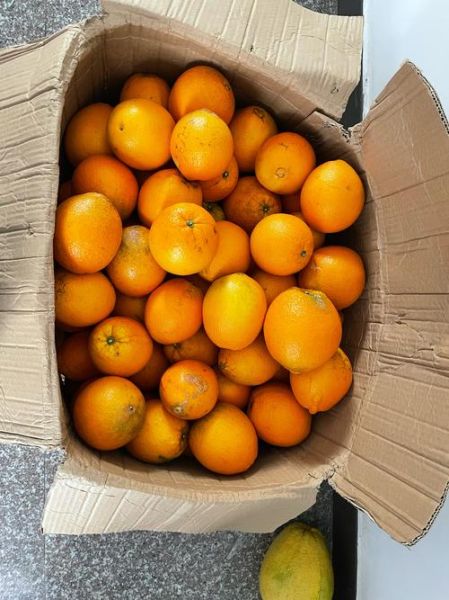 炒板栗技术培训哪家好_学炒板栗要多久-第2张图片-山城妙识