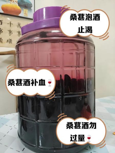 黑桑葚酒的功效与作用_黑桑葚酒能天天喝吗-第2张图片-山城妙识