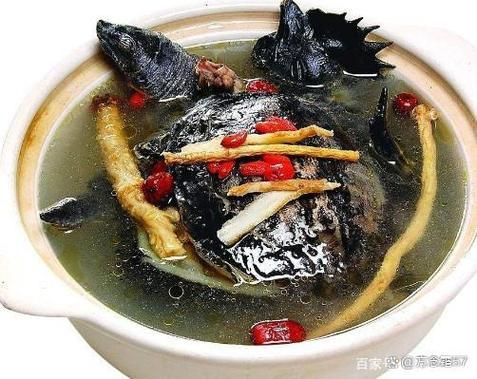 霸王别姬菜品典故_霸王别姬菜名的由来-第1张图片-山城妙识 霸王别姬菜品典故_霸王别姬菜名的由来-第1张图片-山城妙识