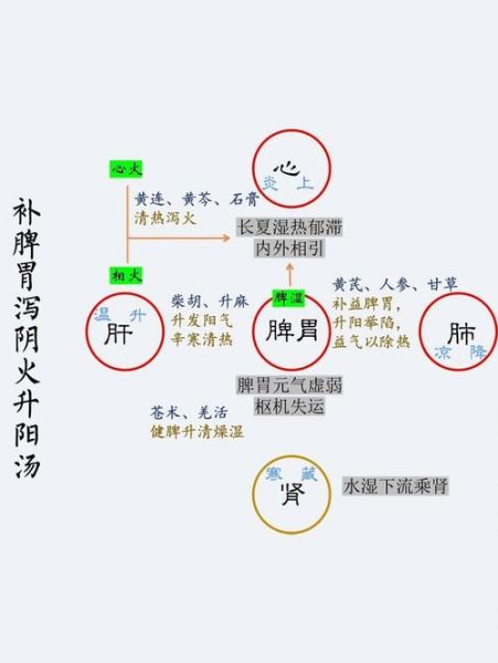 升阳除湿汤的功效与作用_升阳除湿汤适合哪些人-第3张图片-山城妙识