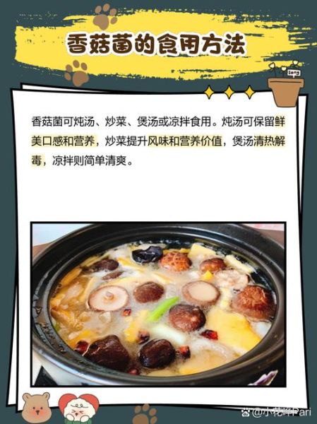 香菇价格多少钱一斤_香菇批发价和零售价差多少-第2张图片-山城妙识 香菇价格多少钱一斤_香菇批发价和零售价差多少-第2张图片-山城妙识