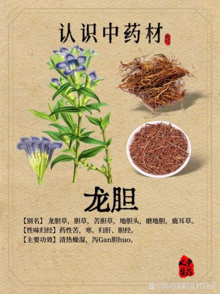 龙胆草图片长什么样_龙胆草真假怎么辨别-第1张图片-山城妙识