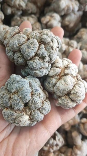 三七粉的正确吃法_三七粉禁忌有哪些-第3张图片-山城妙识