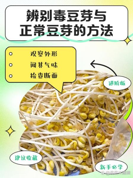 毒豆芽怎么辨别_毒豆芽案件最新进展-第1张图片-山城妙识 毒豆芽怎么辨别_毒豆芽案件最新进展-第1张图片-山城妙识