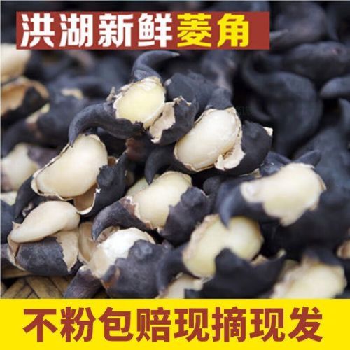 菱角粉的功效与作用_菱角粉的禁忌有哪些-第1张图片-山城妙识 菱角粉的功效与作用_菱角粉的禁忌有哪些-第1张图片-山城妙识