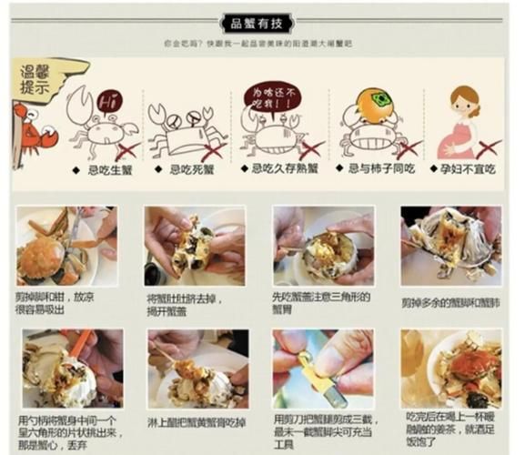 螃蟹怎么吃图解_如何正确吃螃蟹步骤-第1张图片-山城妙识 螃蟹怎么吃图解_如何正确吃螃蟹步骤-第1张图片-山城妙识