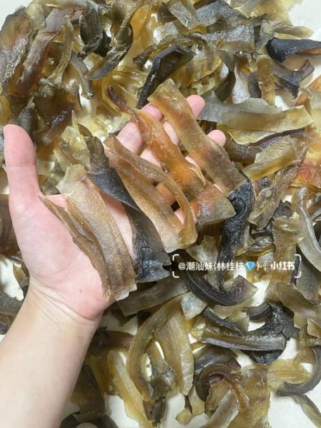 龟板的功效与作用_龟板主治哪些疾病-第3张图片-山城妙识 龟板的功效与作用_龟板主治哪些疾病-第3张图片-山城妙识