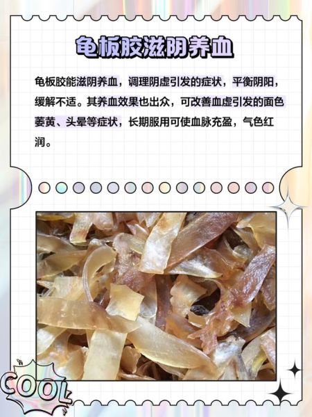 龟板的功效与作用_龟板主治哪些疾病-第2张图片-山城妙识 龟板的功效与作用_龟板主治哪些疾病-第2张图片-山城妙识