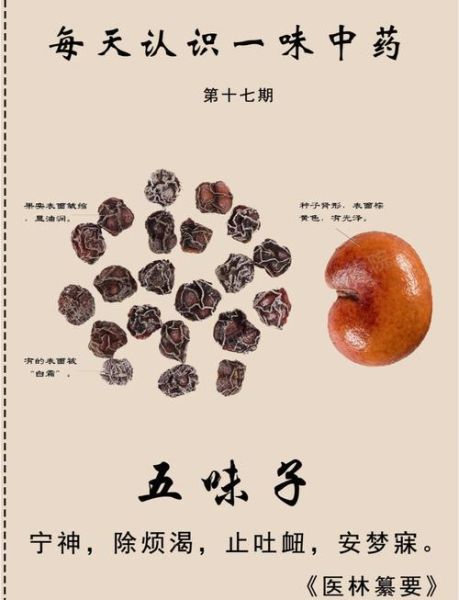 北五味子有什么功效_北五味子怎么服用效果最好-第2张图片-山城妙识