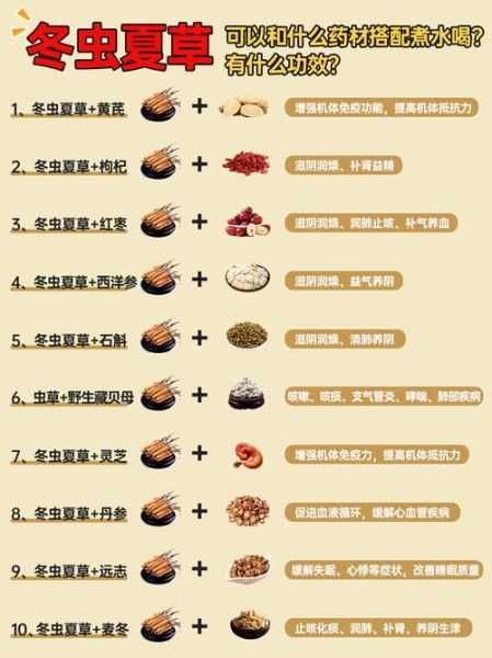 虫草的功效与作用适合哪些人_虫草适合什么体质吃-第3张图片-山城妙识