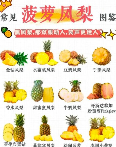 菠萝图片大全大图_如何挑选高清素材-第3张图片-山城妙识