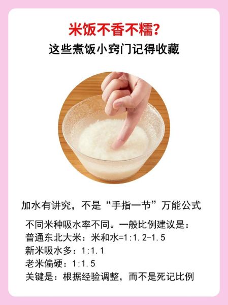 炒米饭怎么不粘锅_为什么炒饭会粘锅-第3张图片-山城妙识