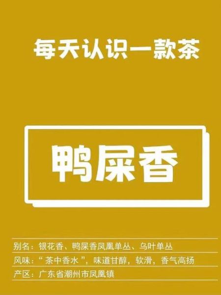 鸭屎香是什么茶_鸭屎香属于什么茶类-第1张图片-山城妙识 鸭屎香是什么茶_鸭屎香属于什么茶类-第1张图片-山城妙识