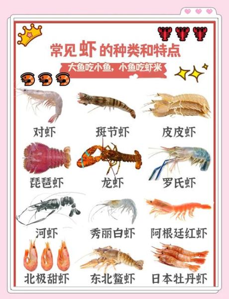 虾的种类有哪些_常见虾名称及图片对照-第1张图片-山城妙识 虾的种类有哪些_常见虾名称及图片对照-第1张图片-山城妙识
